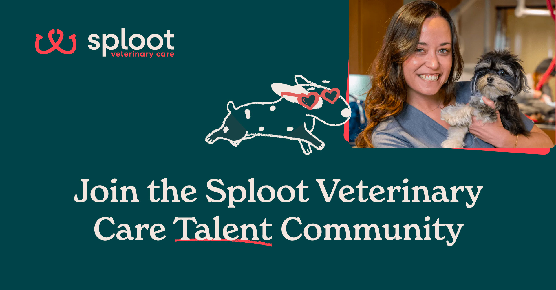 Join Our Talent Community - Sploot Veterinary Care